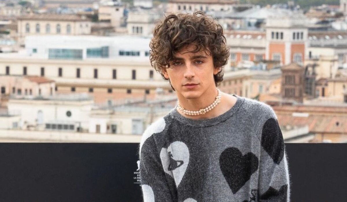 Chi è Timothée Chalamet? Perché piace tanto a tutti